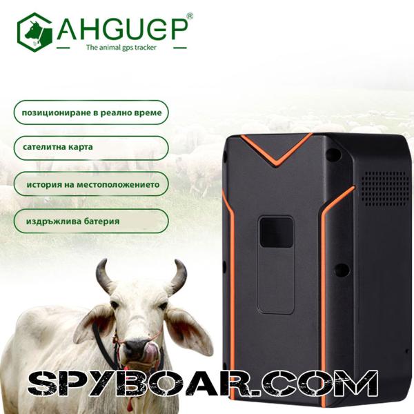GPS Tracker S10 for Goats and Cows – Real-Time Tracking